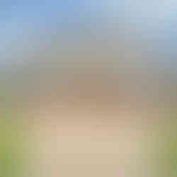 Wedding Venue | Lakeview Ridge