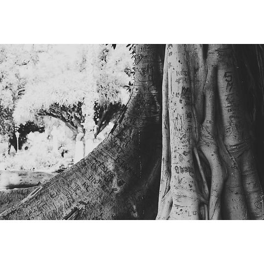 Elena Barbieri graphic designer photographer