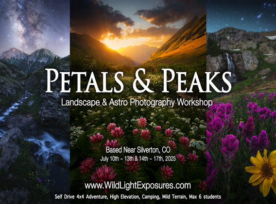 The Landscape Photography of Joshua Snow | Wild Light Exposures