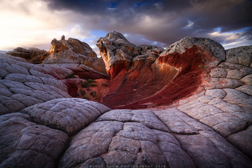 Rise of the Pheonix | WildLightExposures