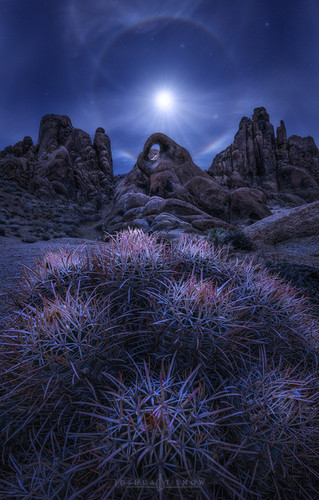 Rise | WildLightExposures