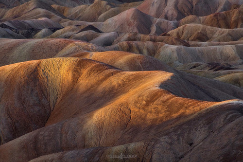 Cosmopolitan | WildLightExposures