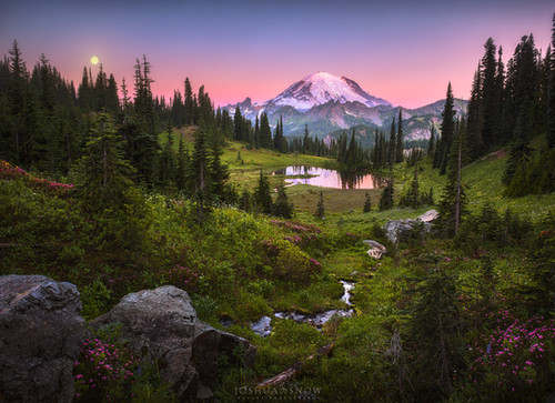 Lost in a Dream | WildLightExposures