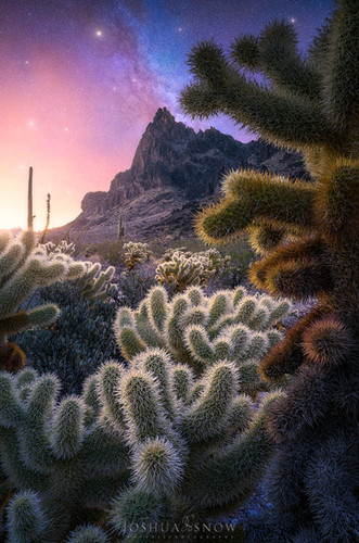 Transcendence | WildLightExposures