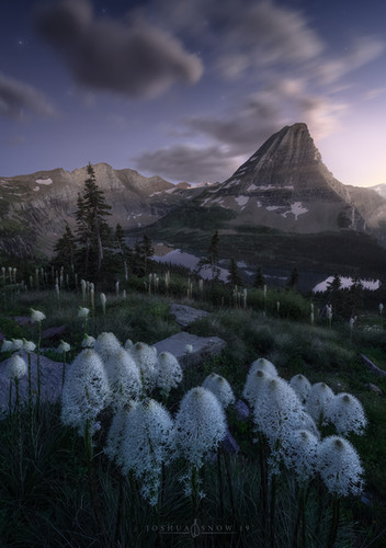 Midnight Sermon | WildLightExposures