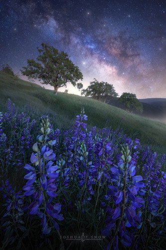 Welcome Home | WildLightExposures