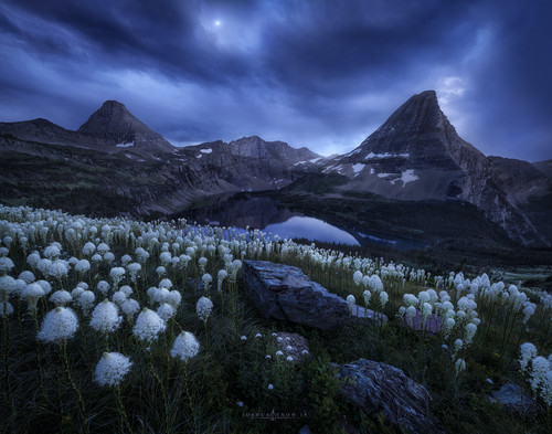 Howl at the Moon | WildLightExposures
