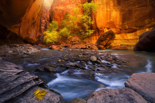 Sentinels of the Canyon | WildLightExposures