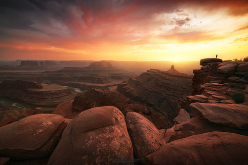 Blinded | WildLightExposures