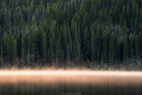 Laser | WildLightExposures