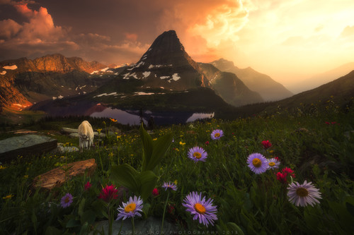 Absolution | WildLightExposures