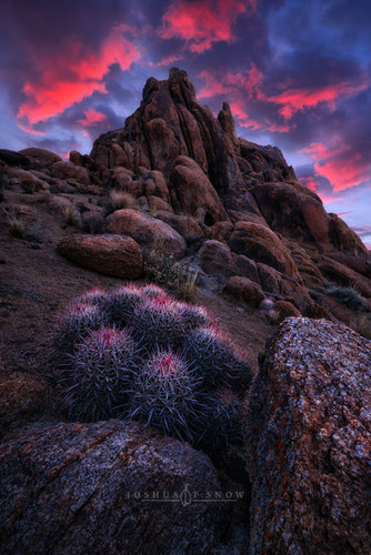 Atomic #8 | WildLightExposures