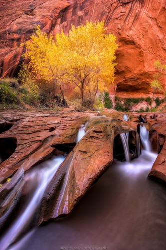 Harvest | WildLightExposures