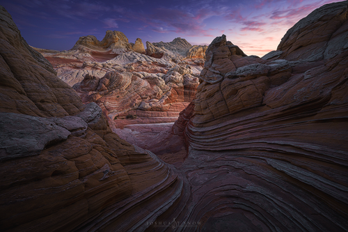 Taffy Dreams | WildLightExposures