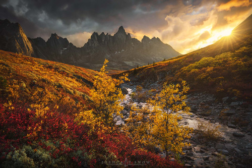 Valley of Light | WildLightExposures