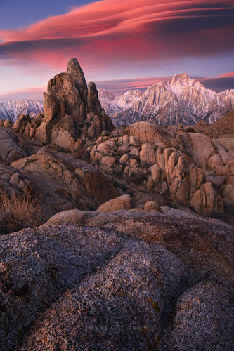 Lenny & the Jets | WildLightExposures