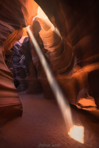 Apparition | WildLightExposures