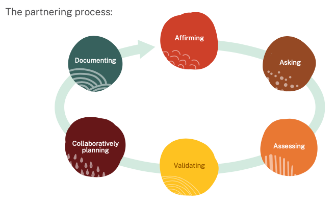 Implementing the Safe & Together Approach to DFV