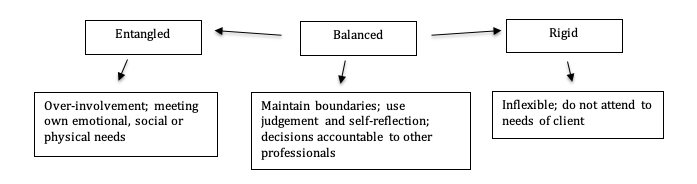 Professional Boundaries