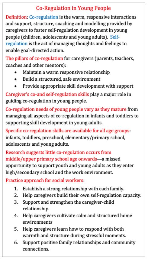 Co-Regulation and Social Work