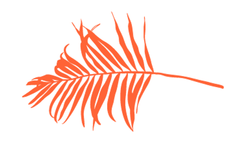 Hyper Acai | Açaí Distributor in Canada