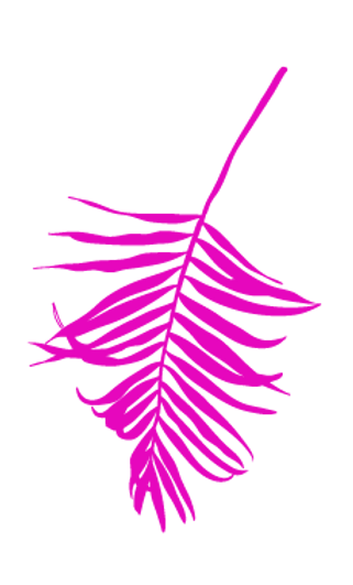 Hyper Acai | Açaí Distributor in Canada