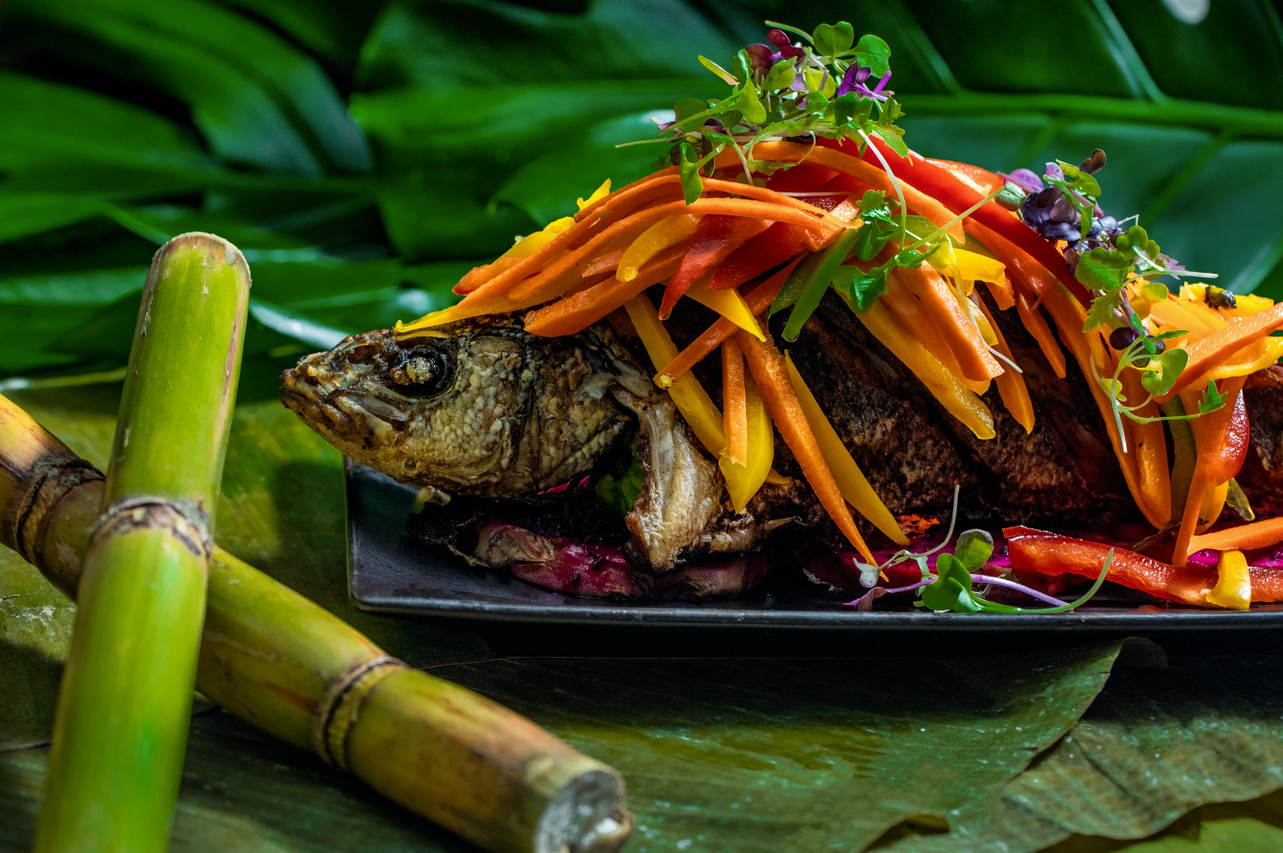 Menu | Omar's Kitchen