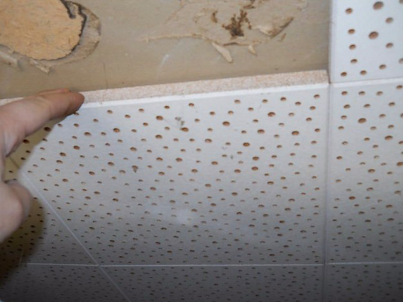 identify asbestos ceiling