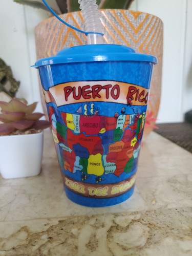 Puerto Rico Island Plastic Cup W/ Lids & Straws | Wicca Wholesale