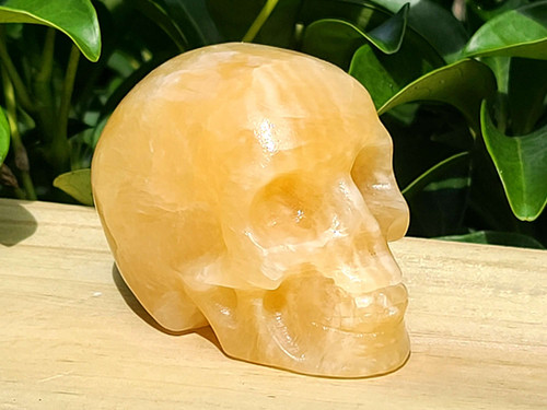 Natural Stone Large Skull 90-100 MM : Yellow Calcite | Wicca Wholesale