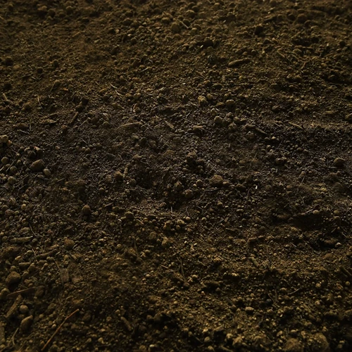 Unscreened Topsoil Loose | Straffan Oaks Yard