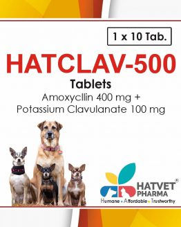 Small Animals Medicine | Vetpet Sikkim