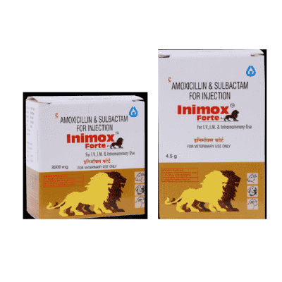 Small Animals Medicine | Vetpet Sikkim