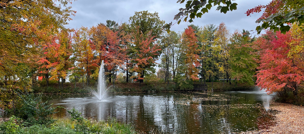 ABOUT | Rotonda Website