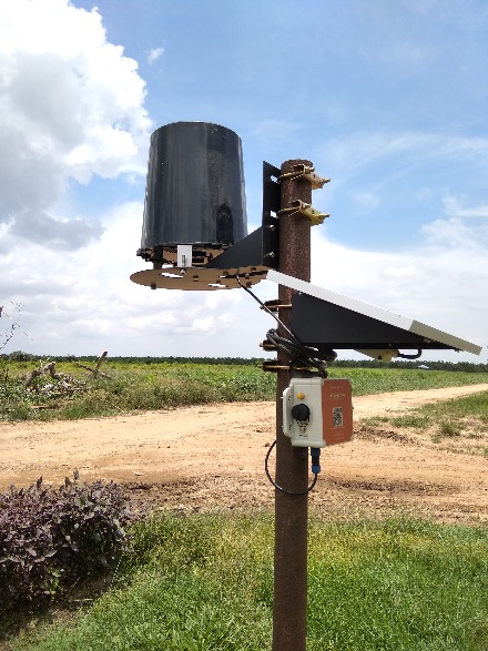 Automatic Rainfall Device Mertani