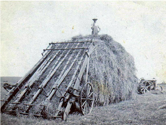 41 Harvesting Hay the Old Fashioned Way
