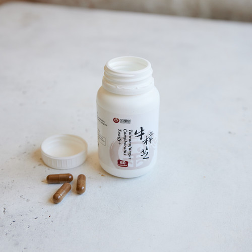 Tonify Plus+ | Taiwanofungus camphoratus | Dr. Lorena Lee