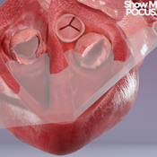 Focused Cardiac Ultrasound Planes| Show me the POCUS