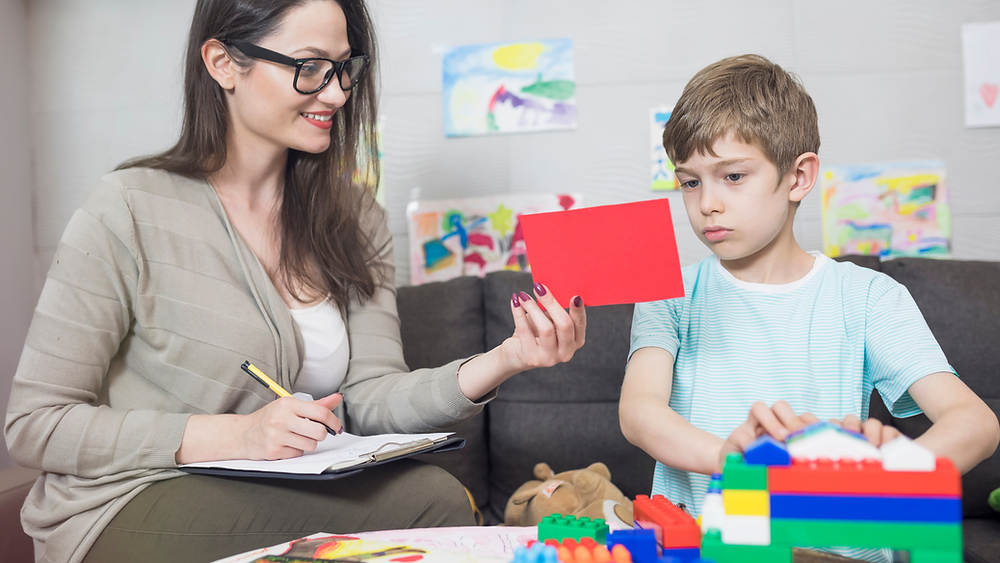 Managing Defiance and Aggression in Children: A Child Psychologist's Guide
