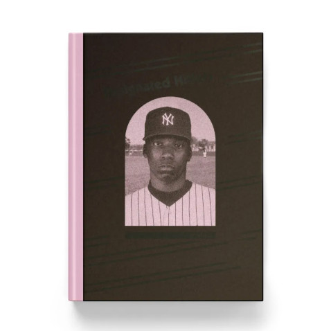 Big L Designated Hitters Vol.1 Baseball Card Book | NHHM Official Site