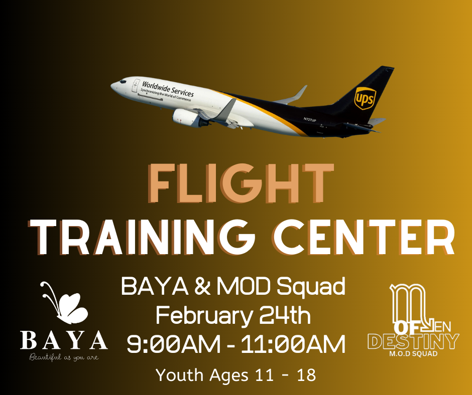 UPS Flight Training School & Simulator | BAYA Corp