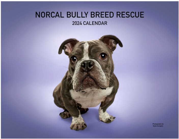 Norcal Bully Breed Rescue