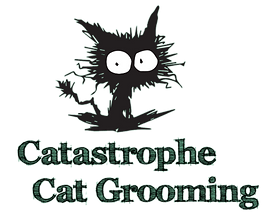 catastrophe cat grooming