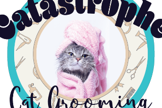 catastrophe cat grooming