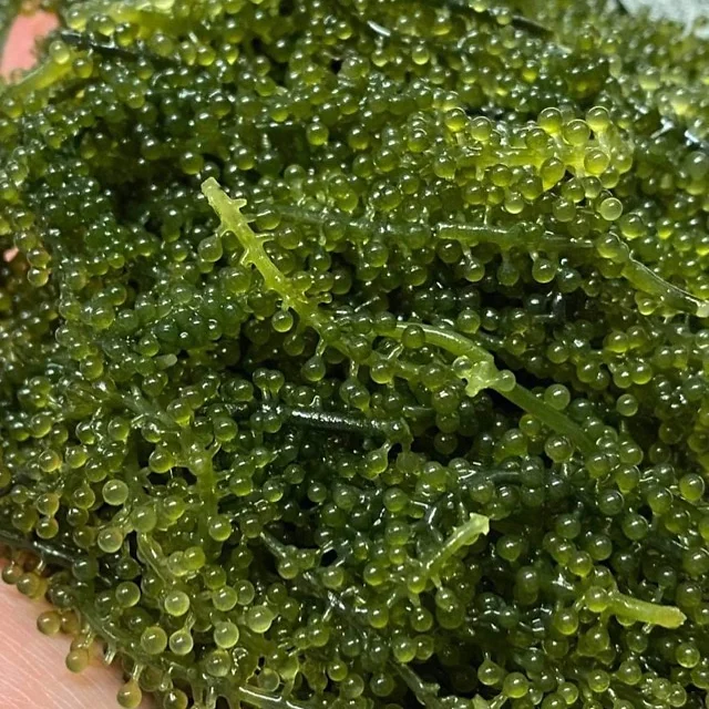 Grocery | Bahay Kubo sa UK