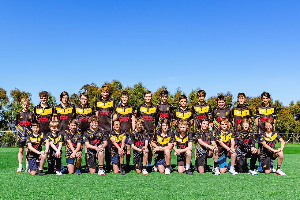 Junior Cricket | Kingborough District Cricket Club