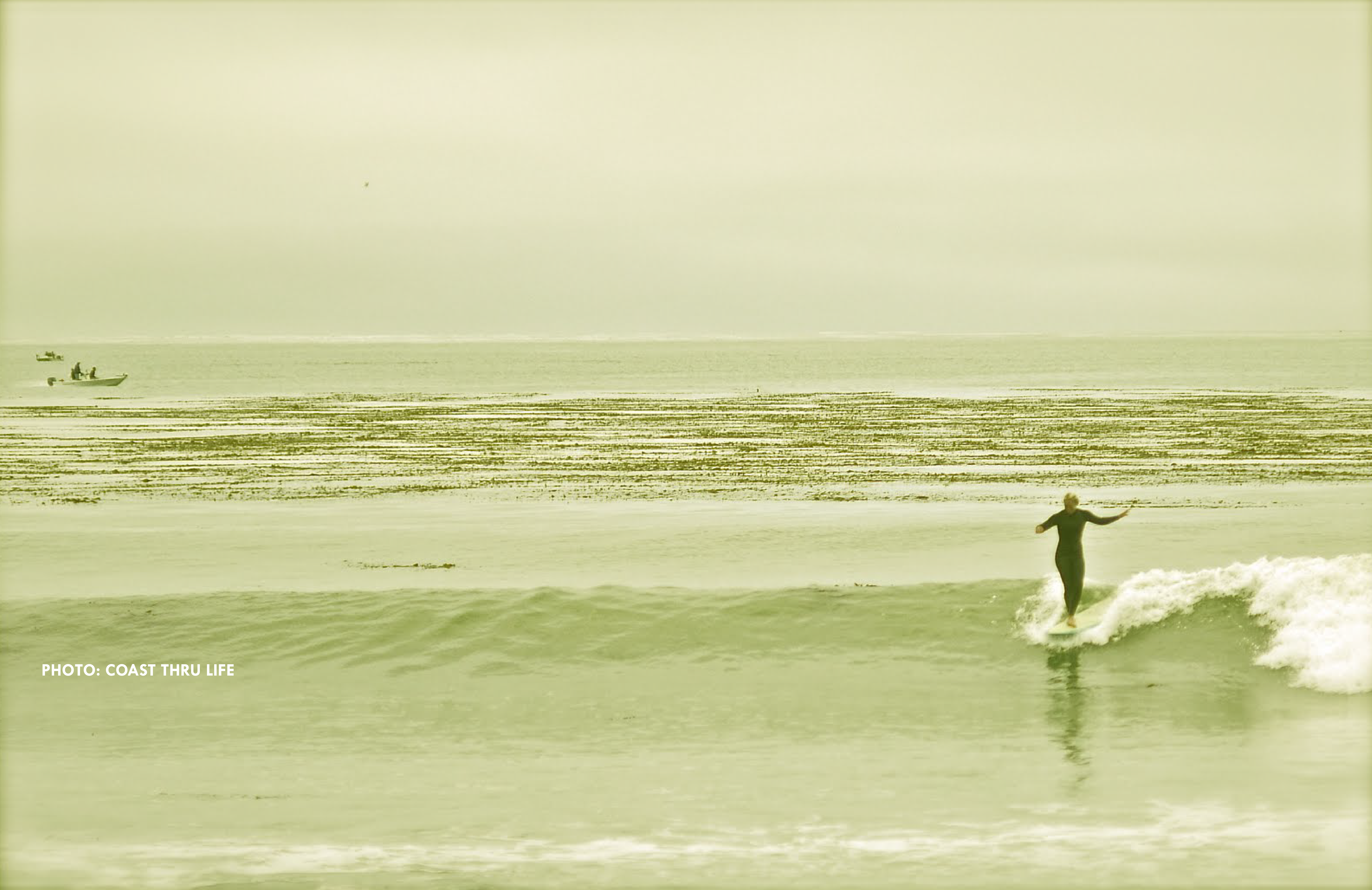 Ashley Lloyd Surfboards