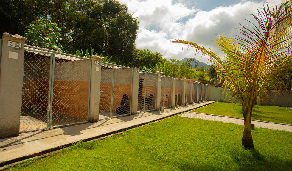 Conheça a estrutura física do nosso Canil de Cane Corso