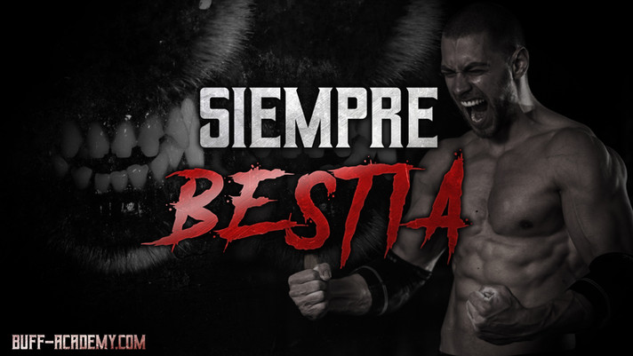 Descargas | BUFF ACADEMY