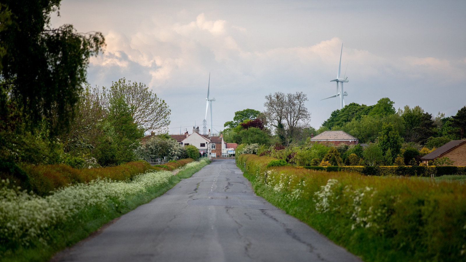 Cherry Tree Farm | Gallery